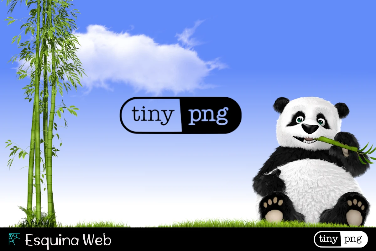 TinyPNG: Comprimiendo imágenes sin perder calidad, webp, png y jpeg - EsquinaWeb